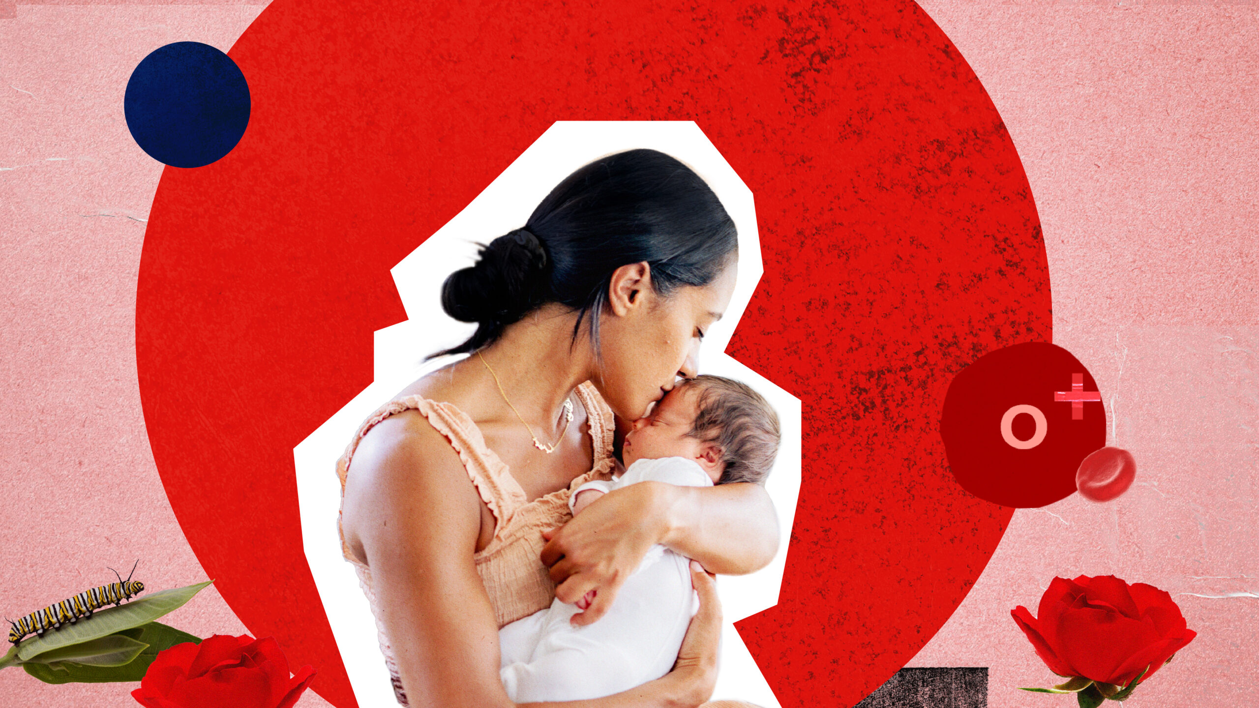 NHLBI Blood Donation Animation Series - Sue Raaz